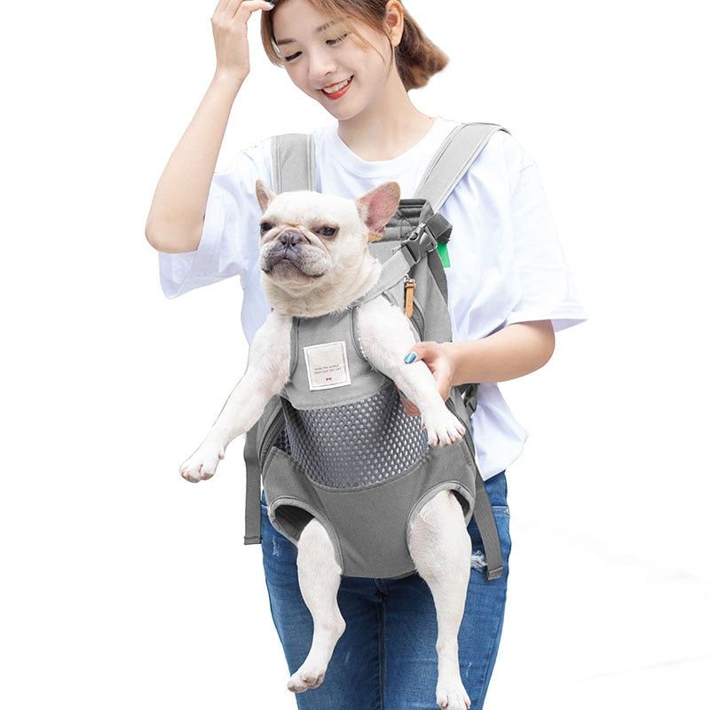 Sac à dos transport chien - Sacs à dos Tendance
